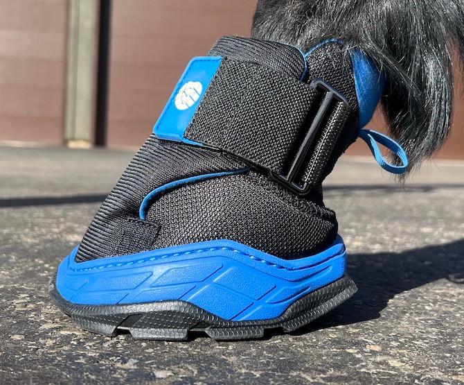 Easyboot RX2 Hoof Therapy Boot (single boot)