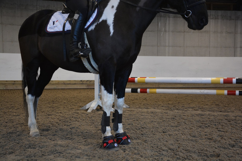 Equine Fusion Ultra (pair)