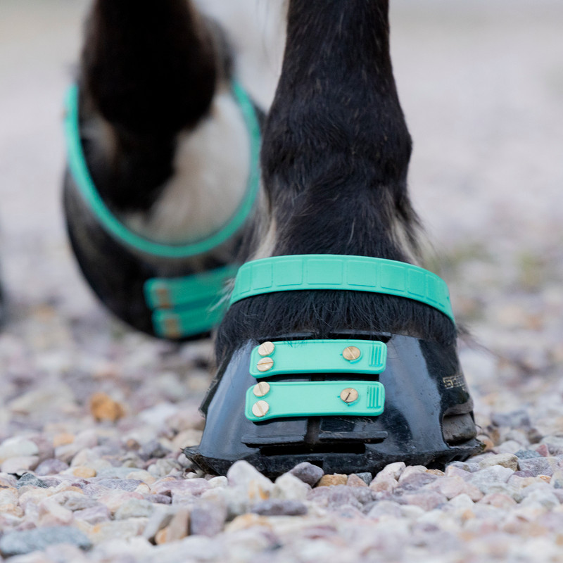 Scoot Boot Spare Coloured Front Strap Packs (1 pair) - Hoof Bootique