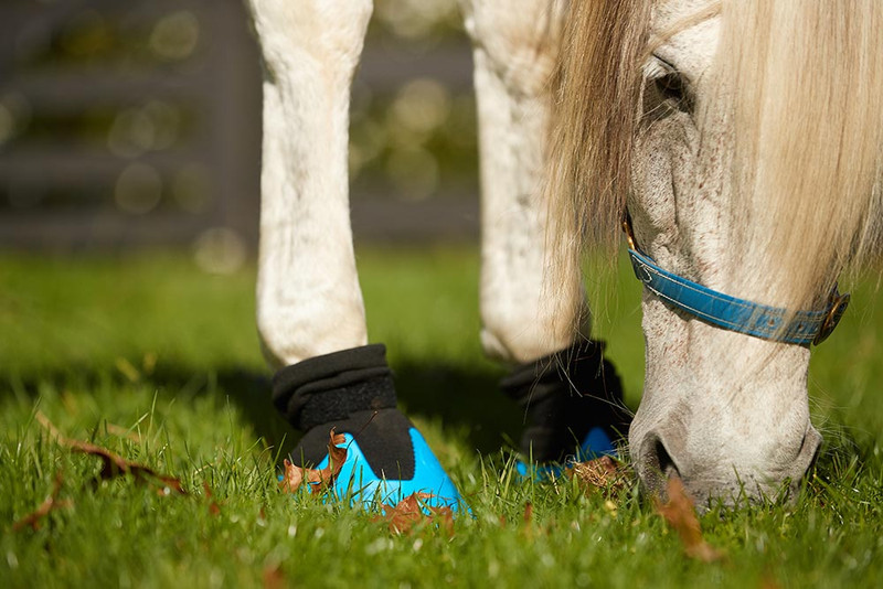 Tubbease Hoof Sock (single)