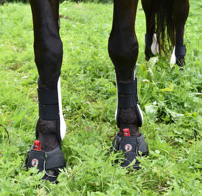 Equine Fusion Trekking Shoe (Single)