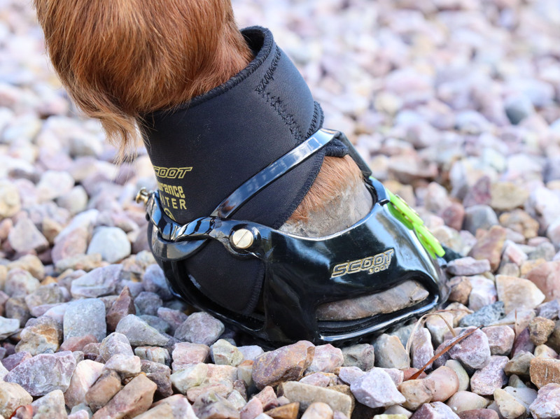 Black Scootboot Mud Straps (pair)
