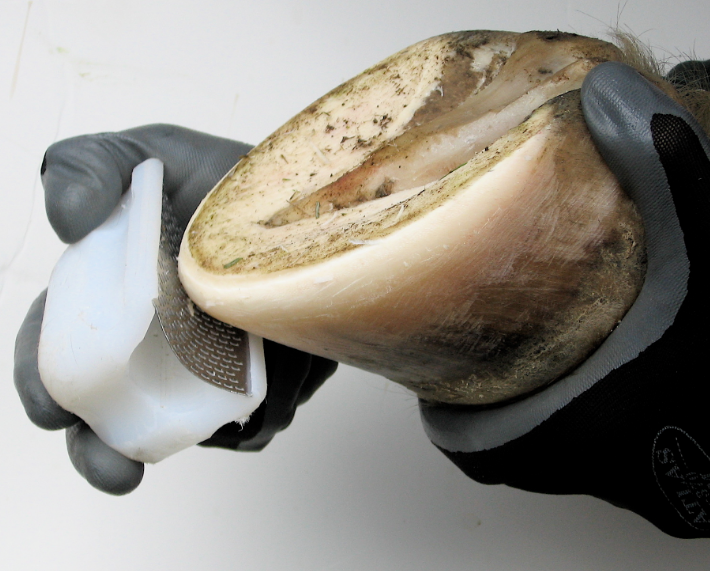 Radius Rasp-1 Original