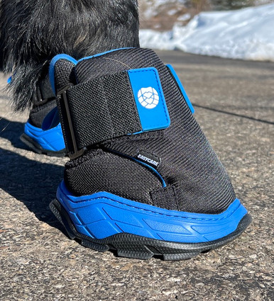 Easyboot RX2 Hoof Therapy Boot (single boot)