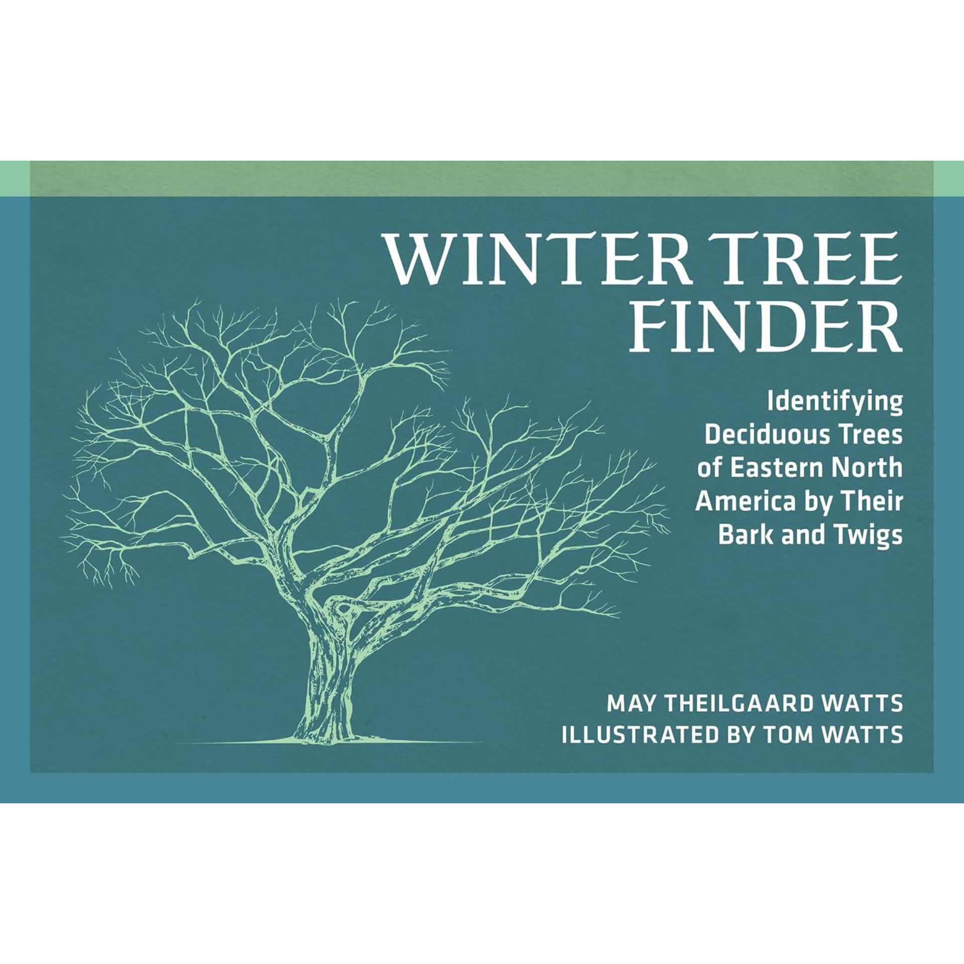 Tree Finder Book: Winter Trees 2024 edition - TreeStuff.com
