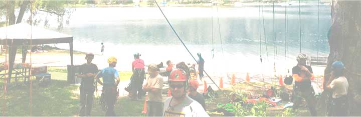 Tree Rigging Equipment & Supplies | TreeStuff