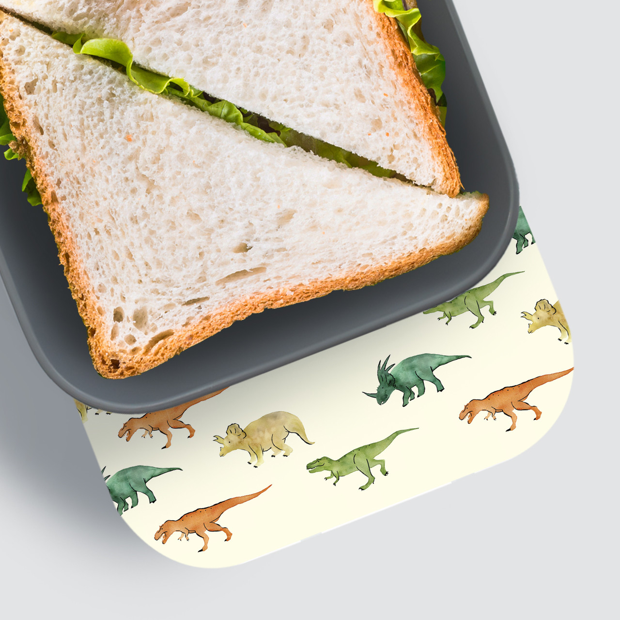 Dinosaurs RPET Sandwich Box - Personalized - Charleston Wrap