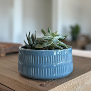 Planters - Charleston Wrap