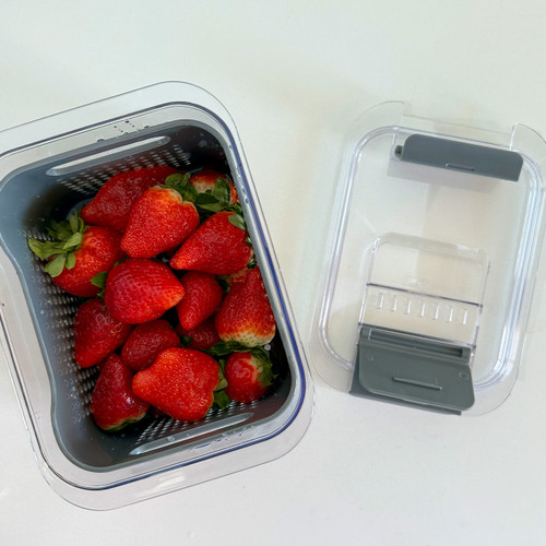 Fresh Keeper Storage Container with Basket - Charleston Wrap