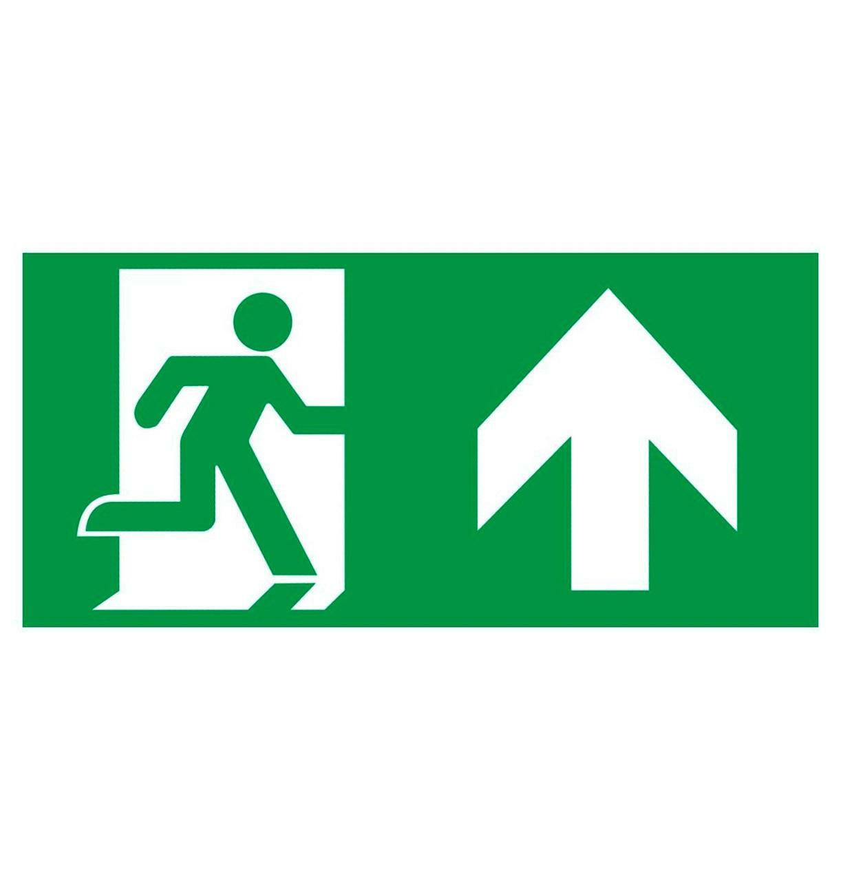 Phoebe LED Emergency Exit Blade 2W with Arrow Legends 6000K | SimplyLED