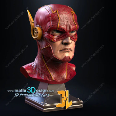 Flash Bust Figure Model Kit