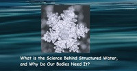 The Science Behind Structured Water and Why Our Bodies Need It ...