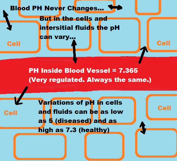 How & Why to Test & Regulate Body PH - Alkaline Water Plus