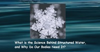 The Science Behind Structured Water and Why Our Bodies Need It ...