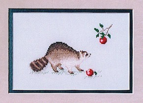 Stardust APPLE BANDIT Raccoon