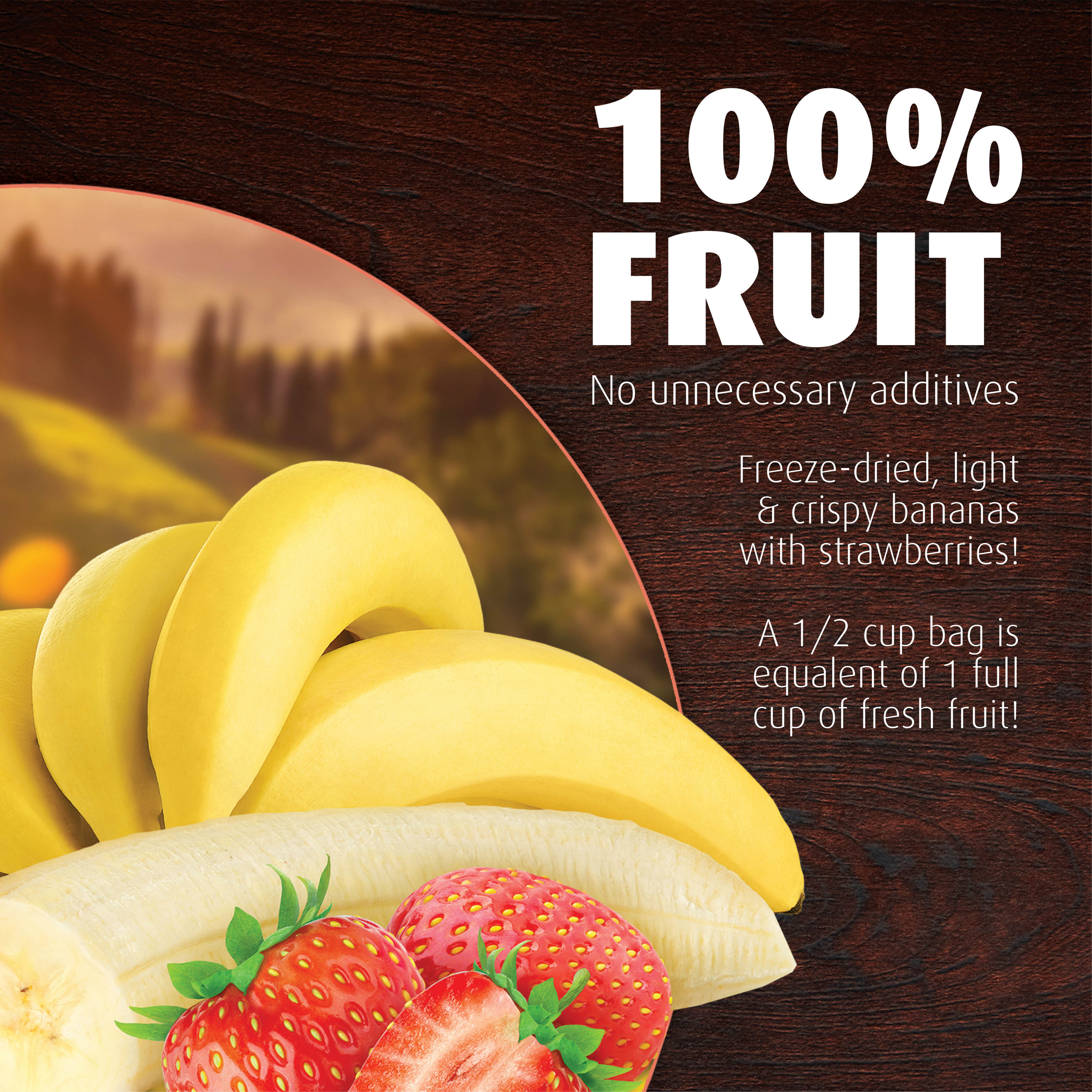 Goofy Banana Strawberry Freeze Dried Fruit Crisps 12-pack