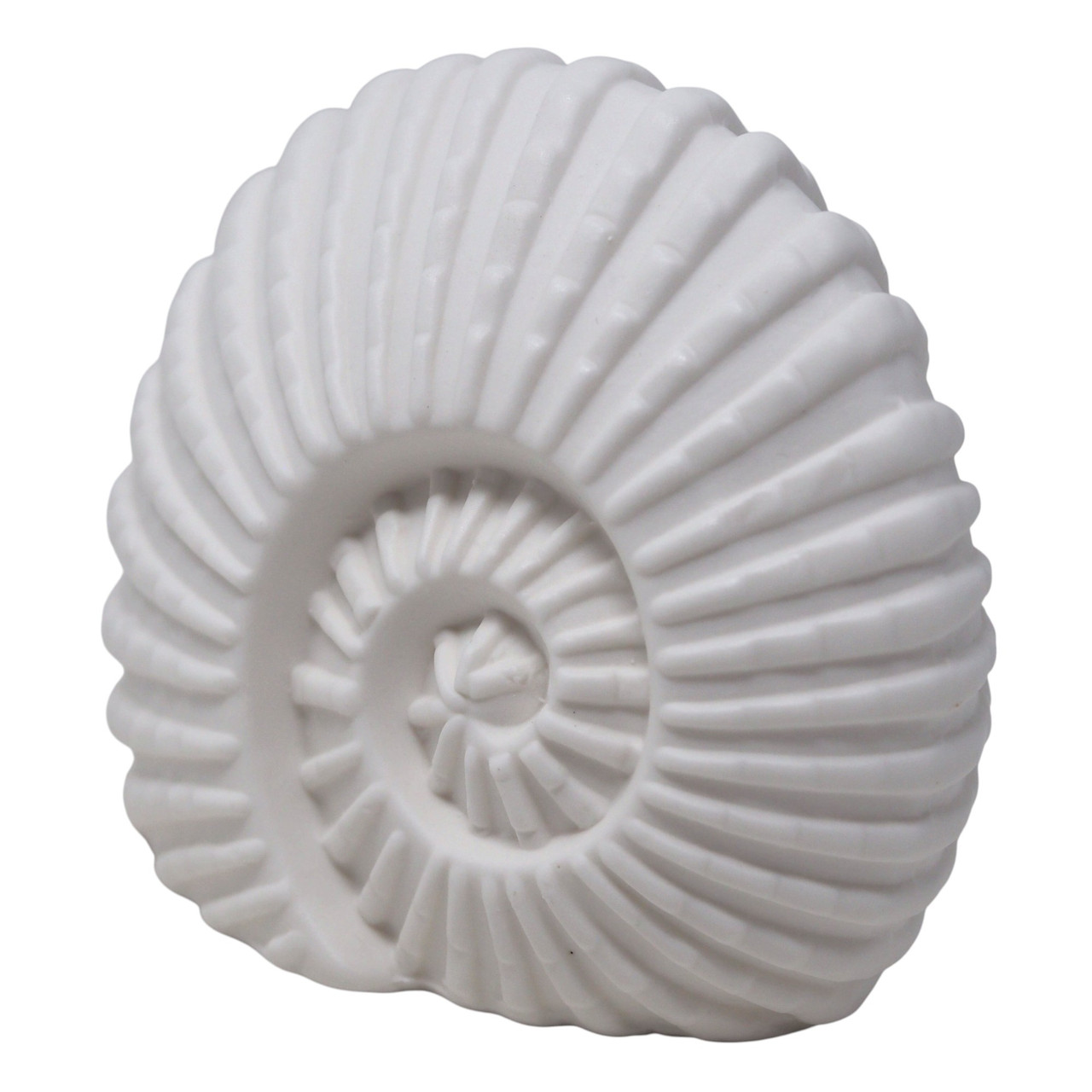 Ammonite Shell Porcelain LED Night Light - Blue Whale Gifts