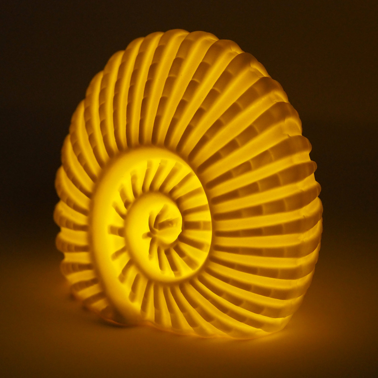Ammonite Shell Porcelain LED Night Light - Blue Whale Gifts