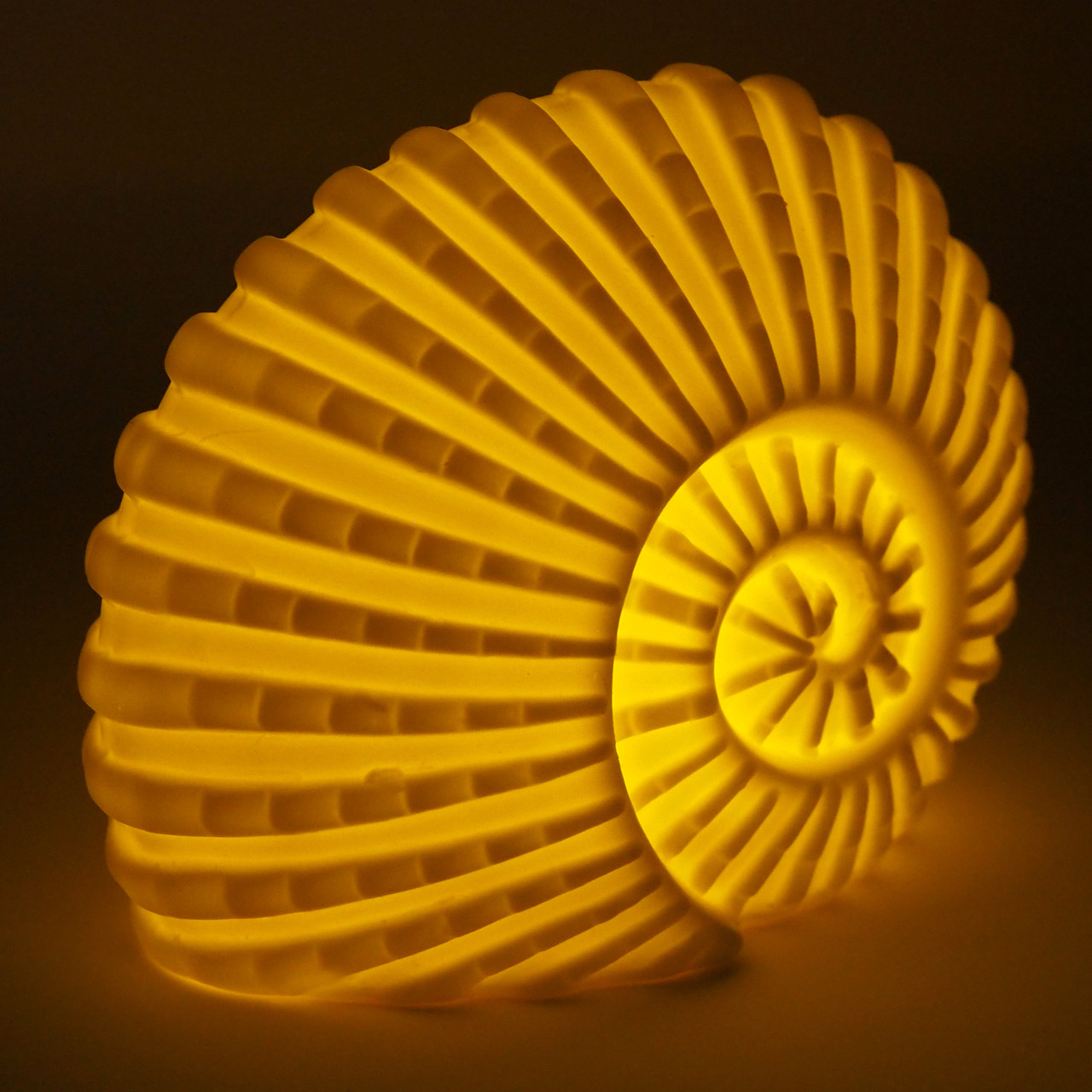 Ammonite Shell Porcelain LED Night Light - Blue Whale Gifts