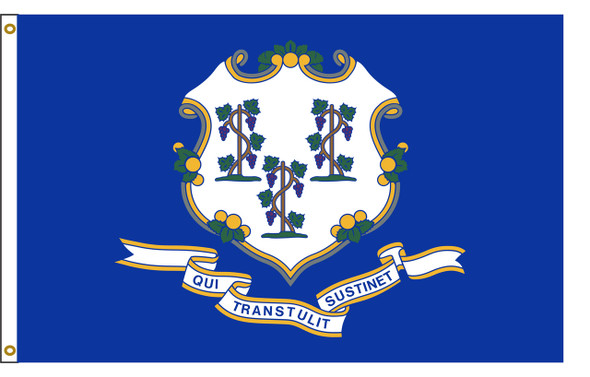 Connecticut 5ftx8ft Nylon State Flag 5x8 Made in USA 5'x8'