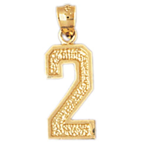 14K Yellow Gold Number 2 Charm 50004339 | Shin Brothers**