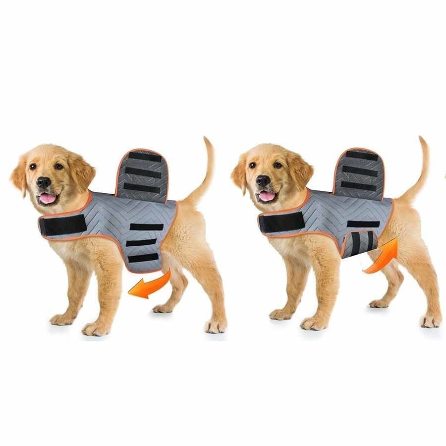 Thundershirt Sport Dog Anxiety Jacket - Chaar