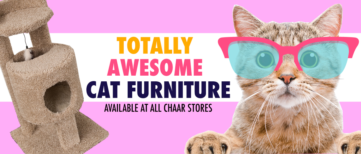 Chaar - Pet Supplies, Cowboy Boots, Work Boots, Hiking Boots, & Dog ...