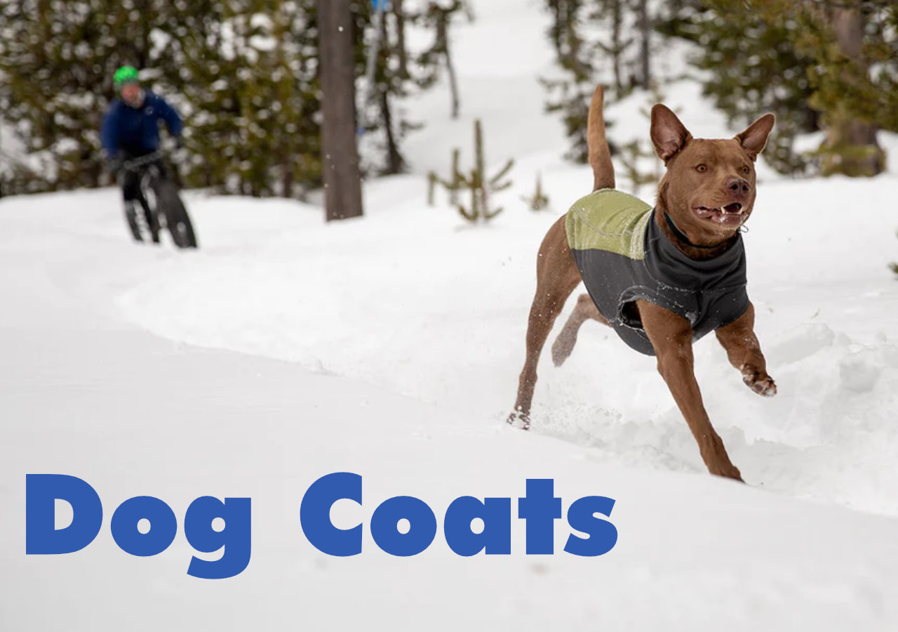 Chaar - Pet Supplies, Cowboy Boots, Work Boots, Hiking Boots, & Dog ...