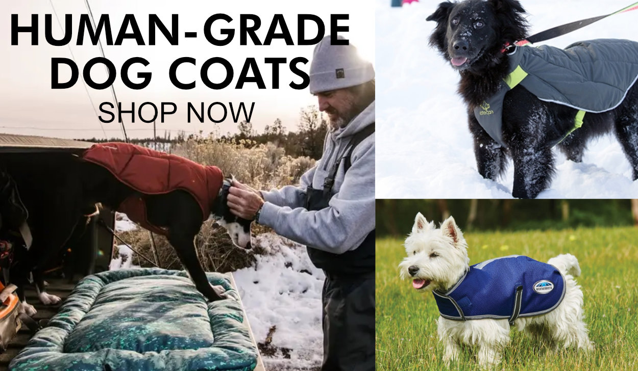 Chaar - Pet Supplies, Cowboy Boots, Work Boots, Hiking Boots, & Dog ...