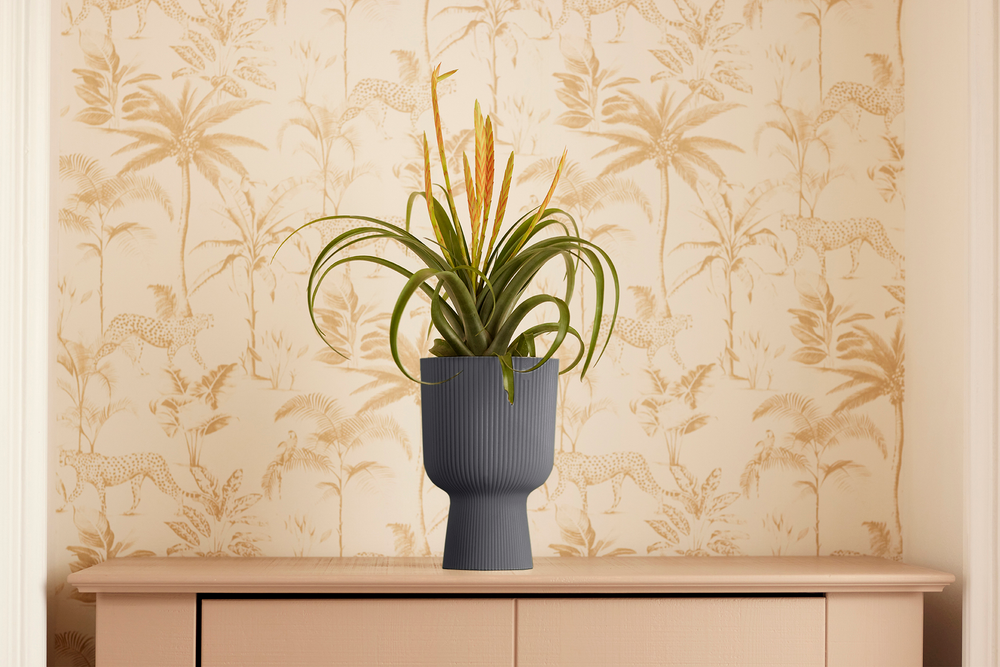 Elho Vibes Fold Coupe 14cm - Anthracite