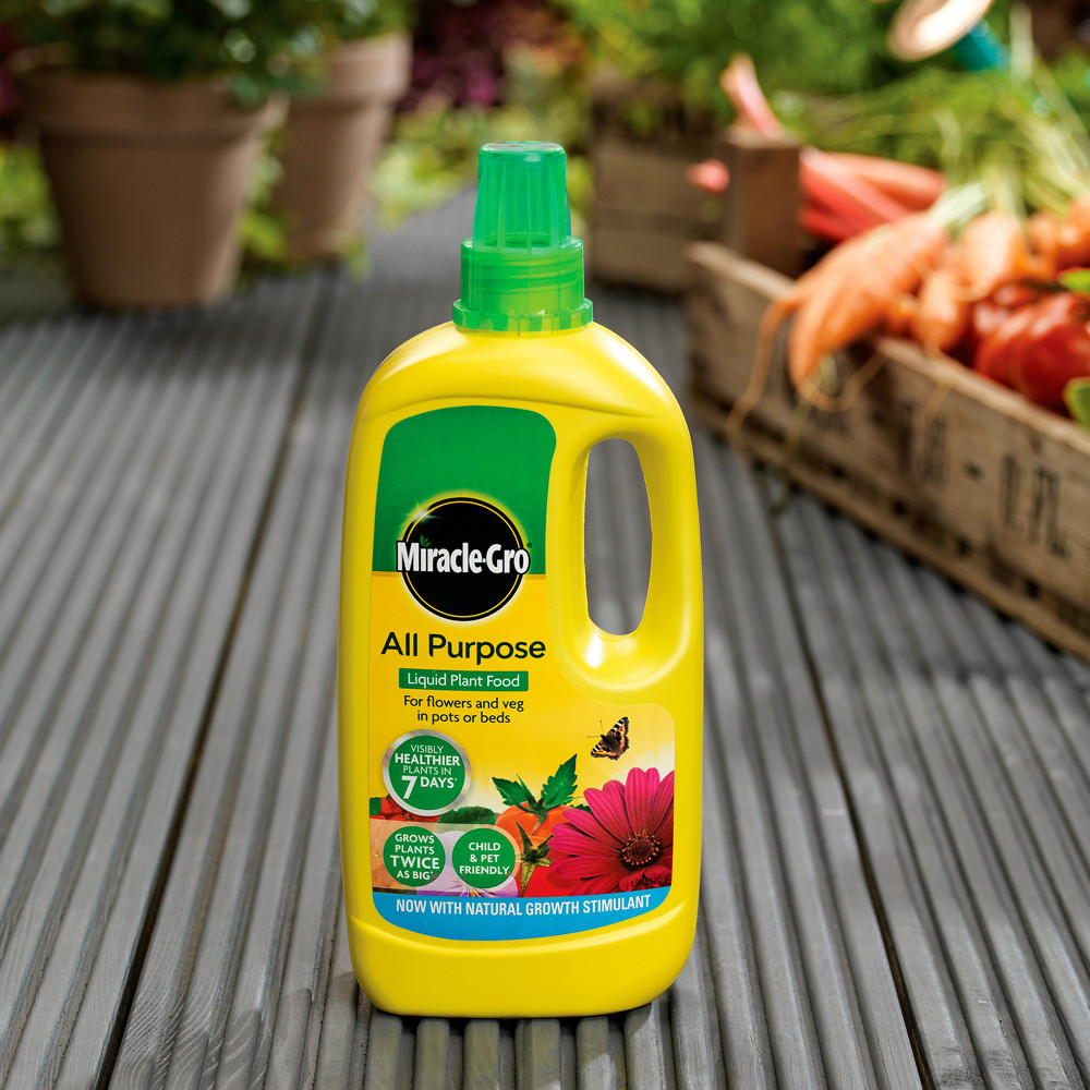 Miracle-Gro All Purpose Concentrated Liquid Plant Food 800ml
