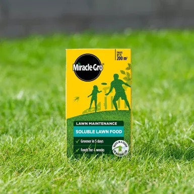 Miracle-Gro Lawn Maintenance Soluble Lawn Food 1kg