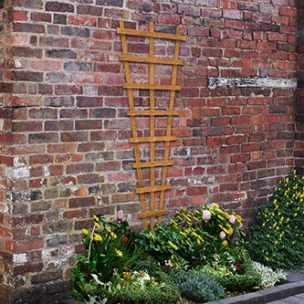 Forest Garden Heavy Duty Fan Trellis - 183 x 66cm - Pack of 4