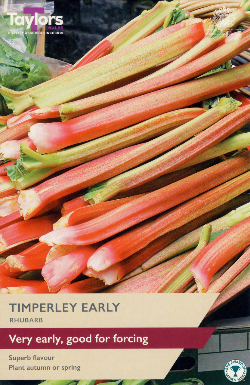Taylors Pre-Packed Veg Rhubarb Timperley Early