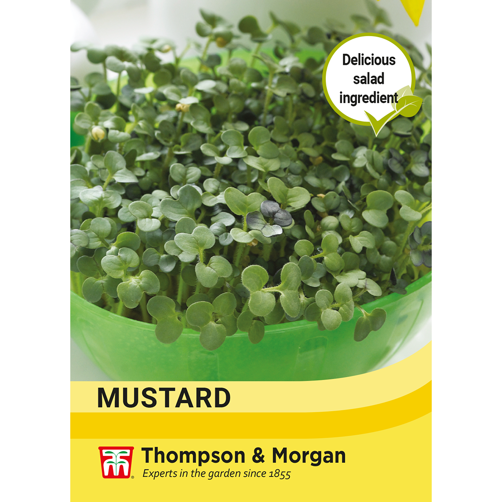 Thompson & Morgan Vegetable Seeds - Mustard - Bents Garden & Home