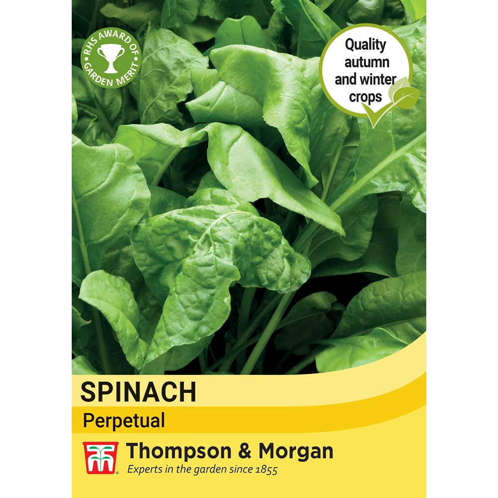 Thompson & Morgan Vegetable Seeds - Spinach Perpetual - Bents Garden & Home