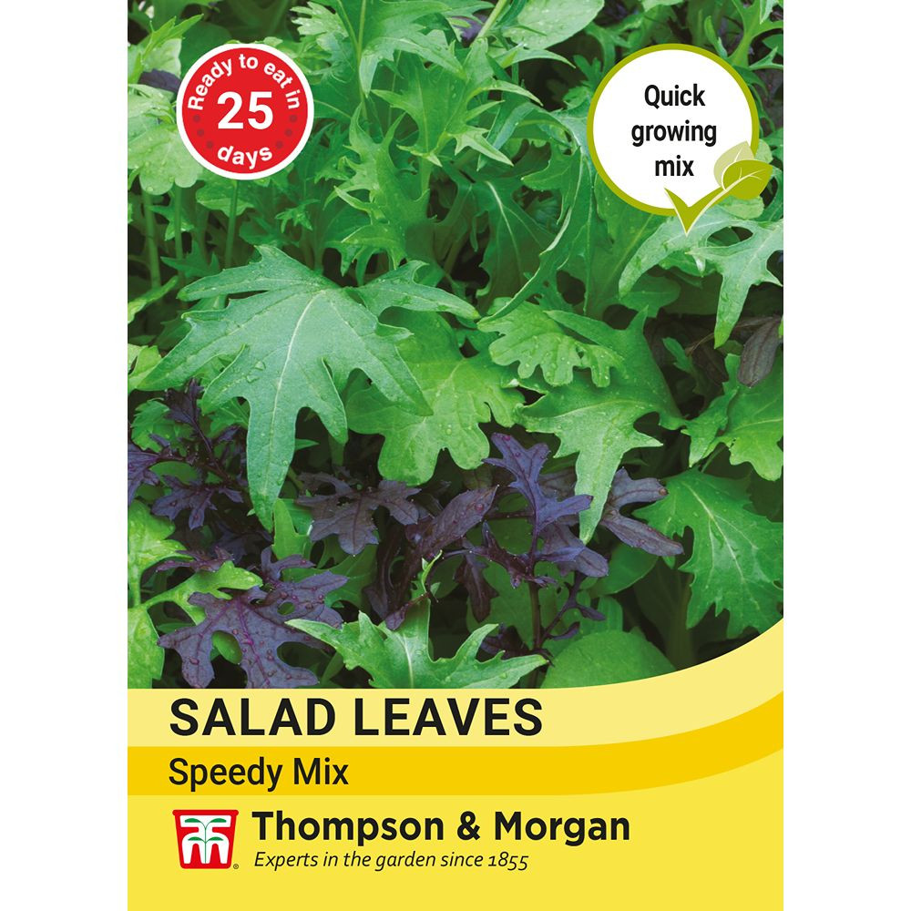 Thompson & Morgan Vegetable Seeds - Salad Leaves - Speedy Mix - Bents ...