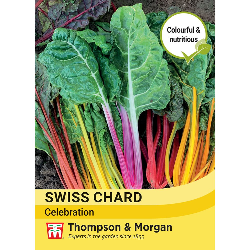 Thompson & Morgan Vegetable Seeds - Swiss Chard Celebration - Bents ...