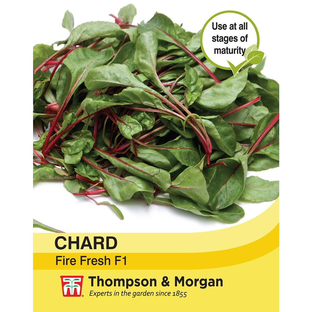 Thompson & Morgan Vegetable Seeds - Chard Fire Fresh - Bents Garden & Home