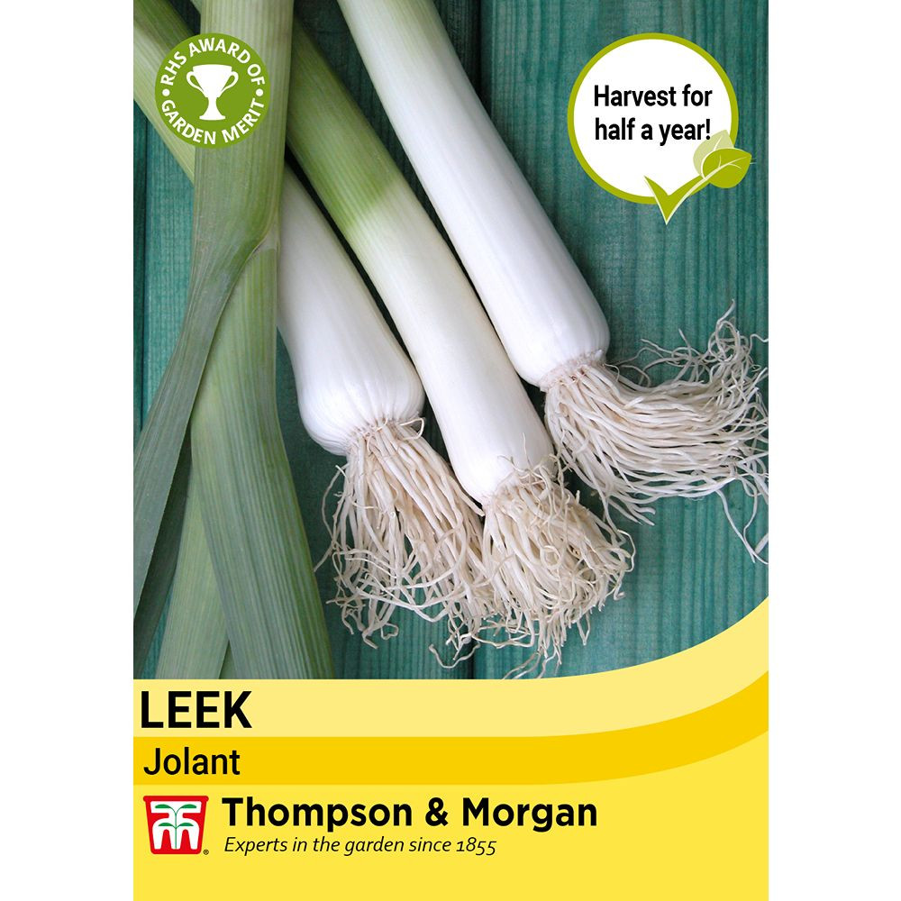 Thompson & Morgan Vegetable Seeds - Leek Jolant - Bents Garden & Home
