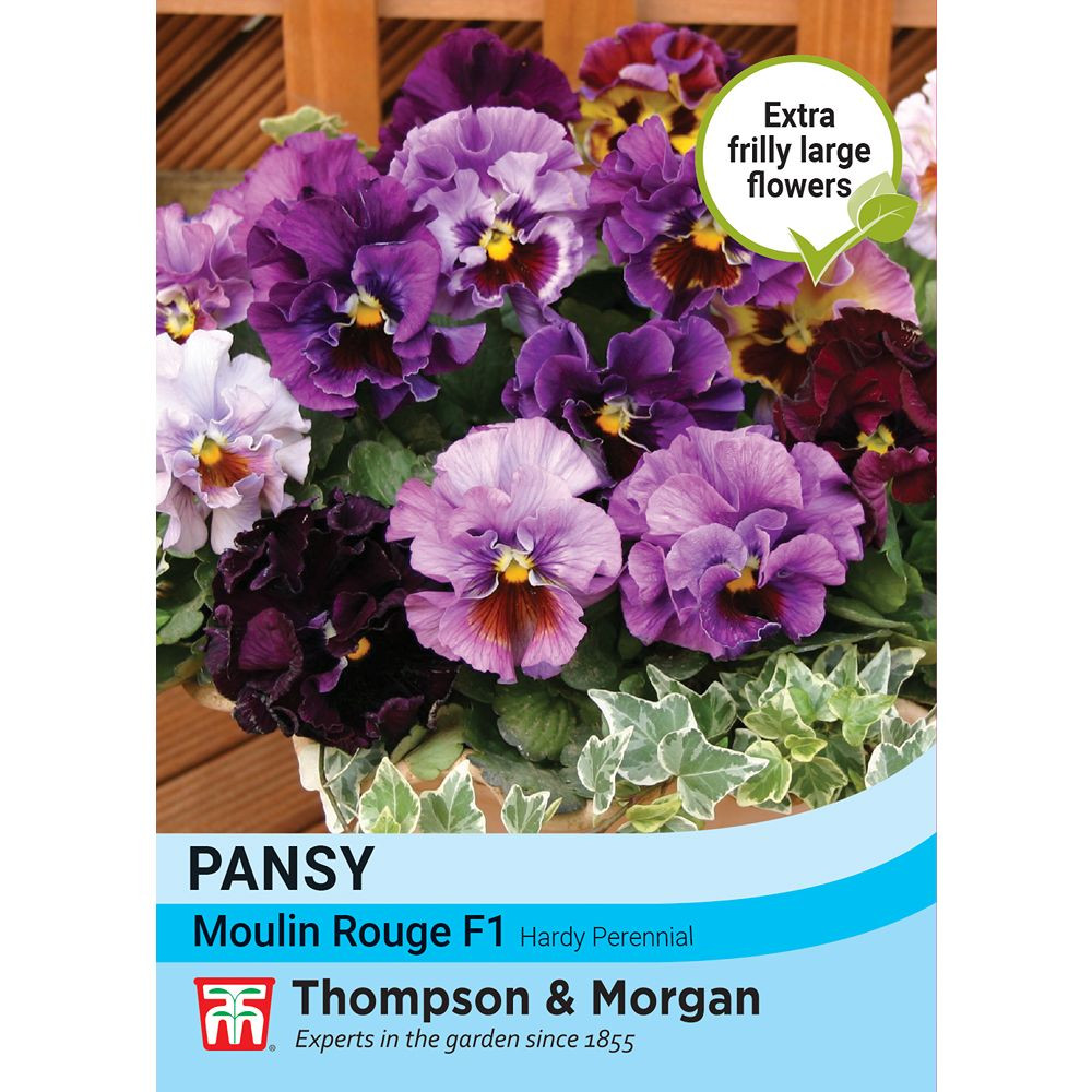 Thompson & Morgan Flower Seeds - Pansy Moulin Rouge F1 - Bents Garden ...