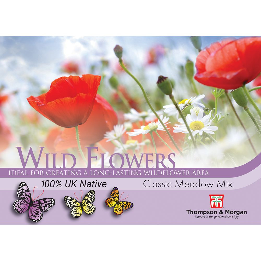 Thompson & Morgan Flower Seeds - Wild Flower Classic Meadow - Bents ...