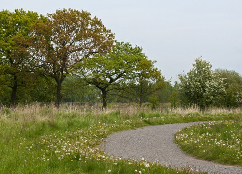 Walk in The Woods