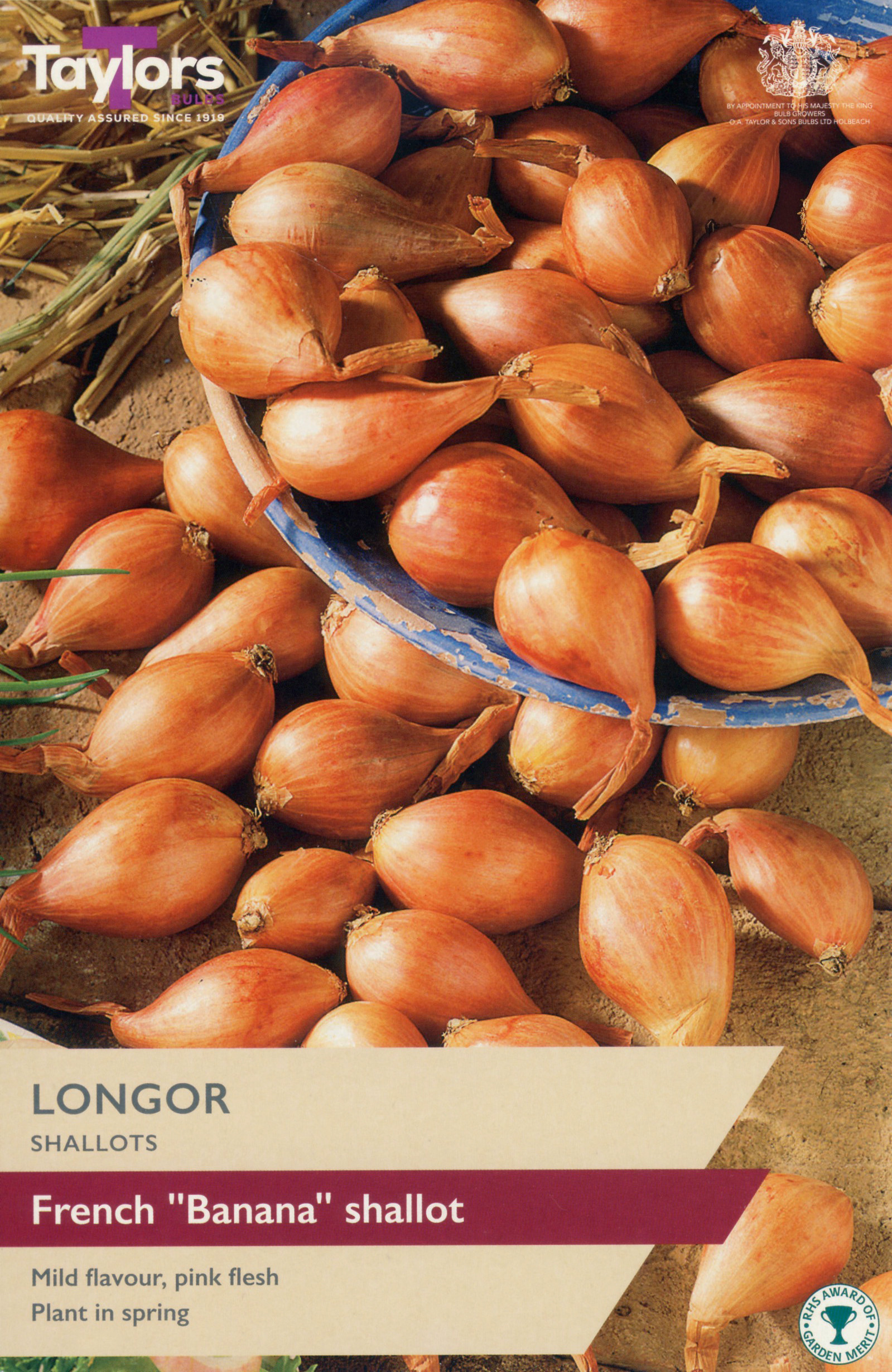 Taylors Pre-Packed Shallot Longor Pack Of 10