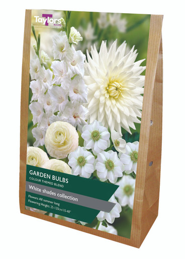White Shades Collection Pack of 25 bulbs