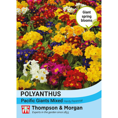 Thompson & Morgan Flower Seeds - Polyanthus Pacific Giants Mixed ...
