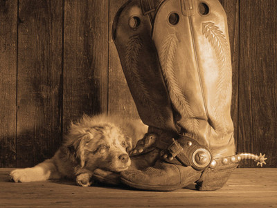 Dixie Sepia by Robert Dawson | Buy Dixie Sepia by Robert Dawson Western Art