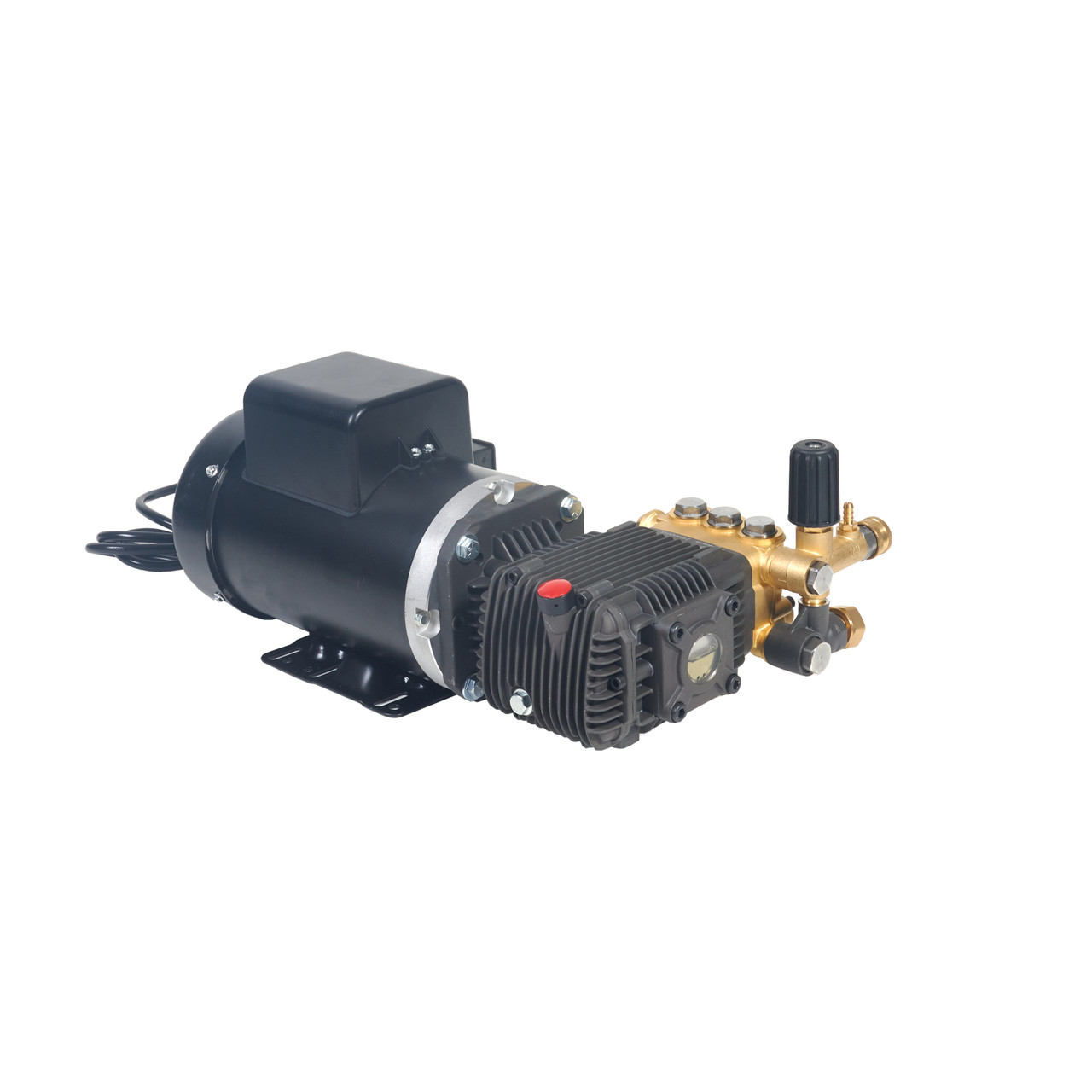 Canpump Electric Pressure Washer: 5 hp Full-Speed Motor 240 V, Triplex Pump