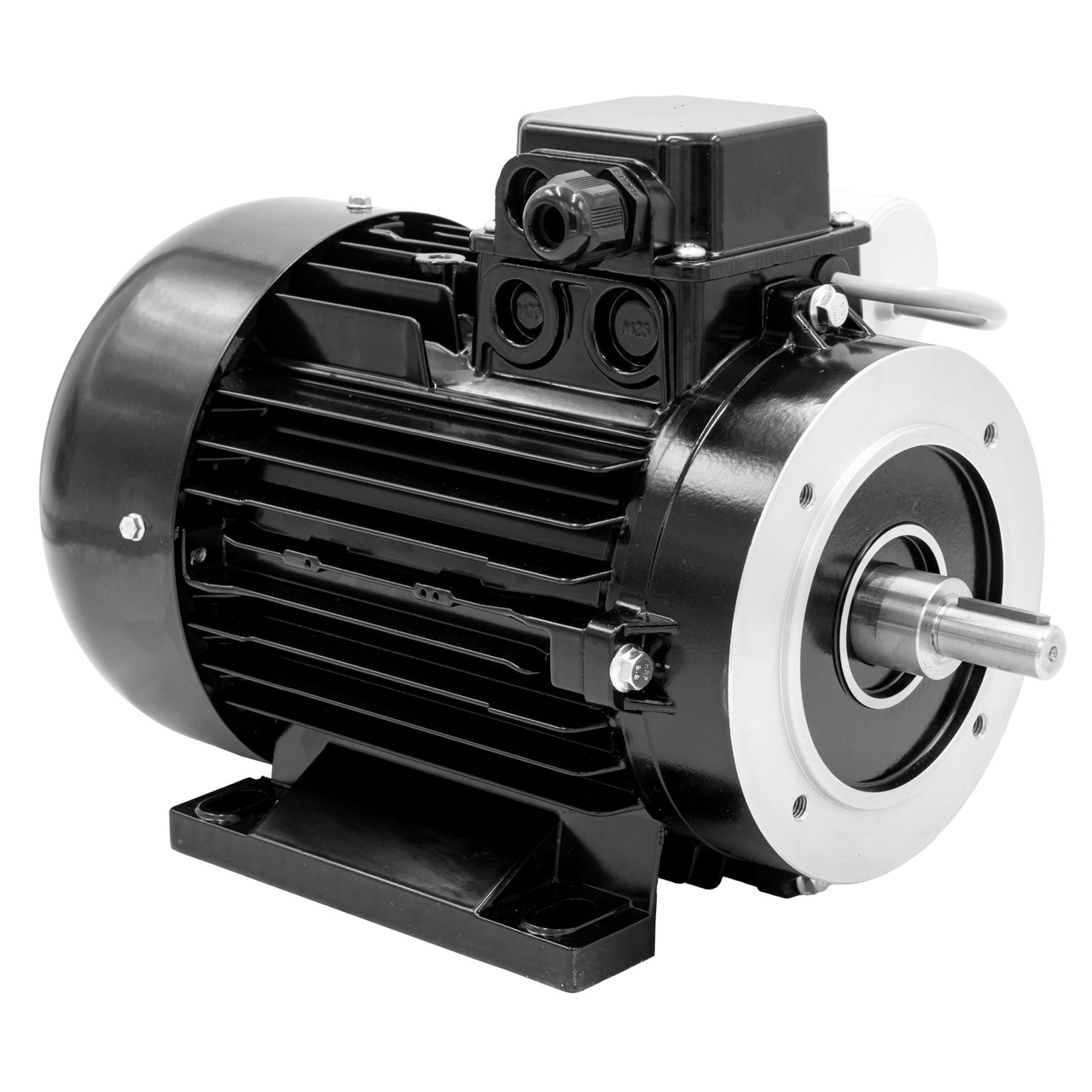 Nicolini Electric Motor - 4 hp Single-Phase 240 V, 5/8-inch Shaft