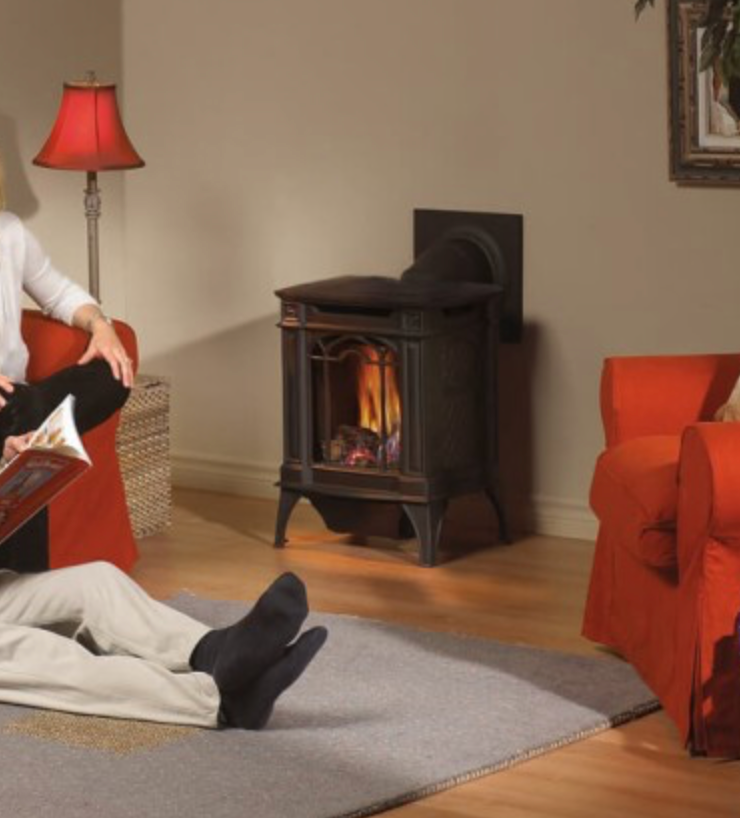 Napoleon Arlington Series Direct Vent Cast Iron Gas Stove - GDS20N